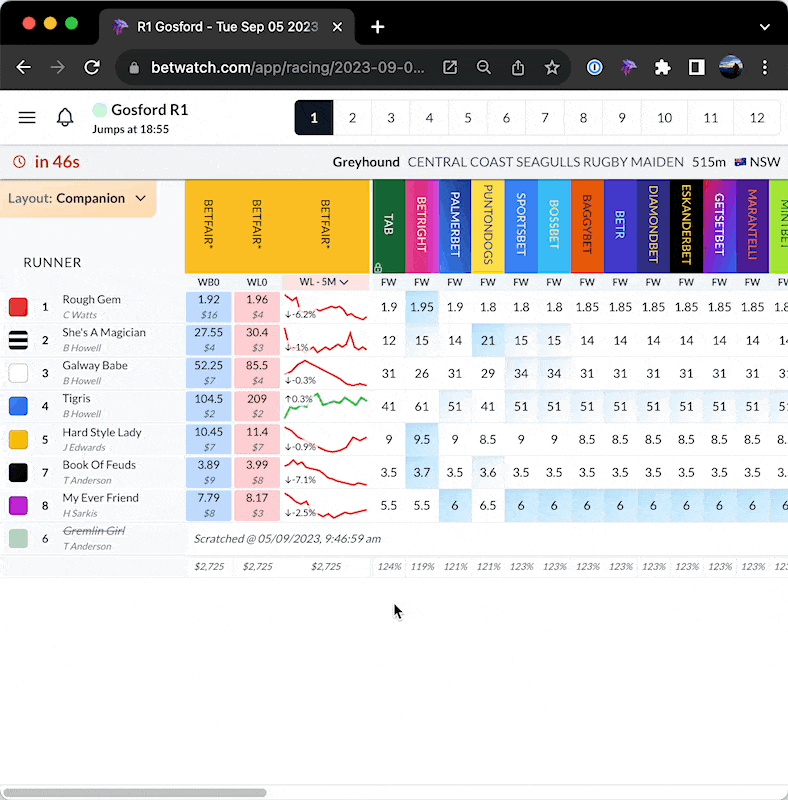 Betslip Automation – Betwatch Guide